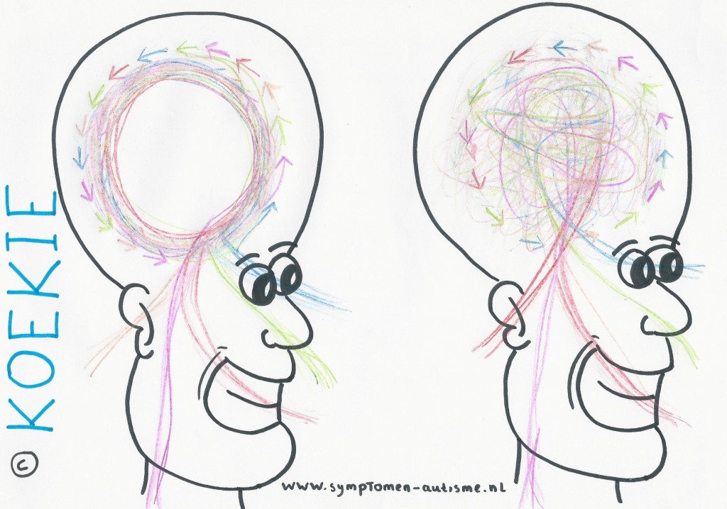 Hersenen: Autisme, Hoe zit het nou echt? Deel 2 | KOEKIE